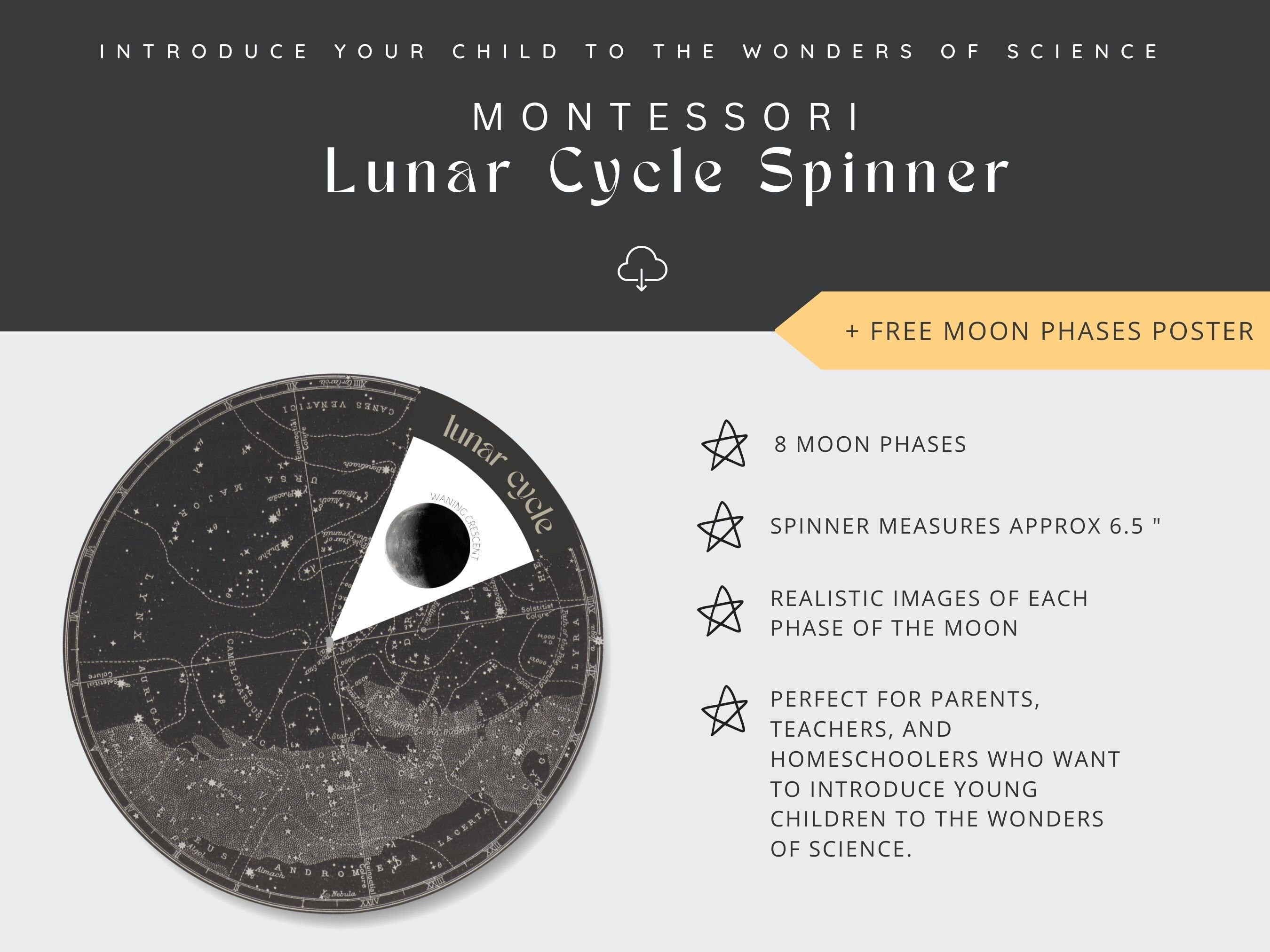 Montessori Moon Phases Wheel Spinner, Lunar Cycle, Classroom Decor ...