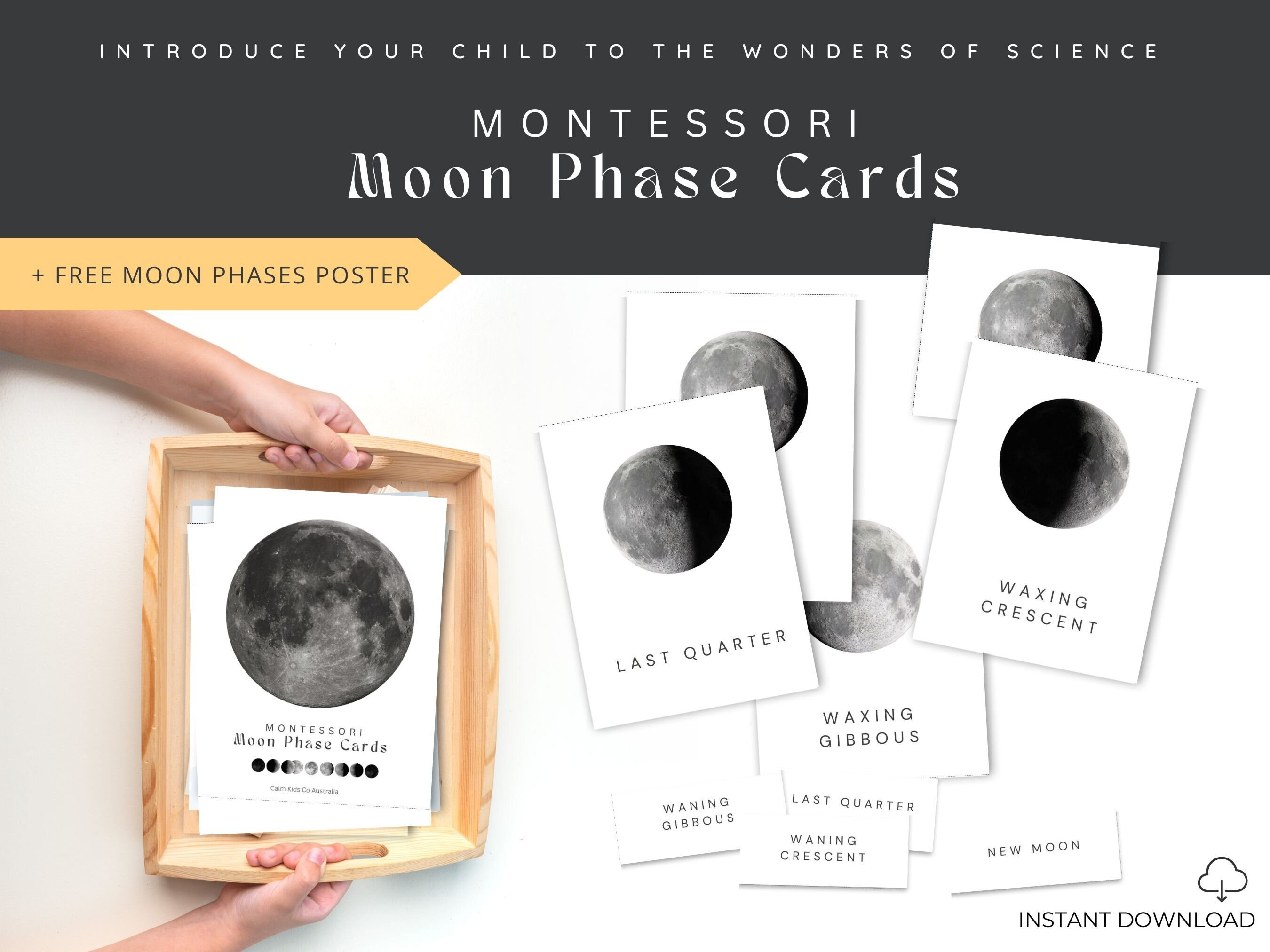 Montessori Moon Phases Cards, Montessori at Home, Lunar Cycle ...
