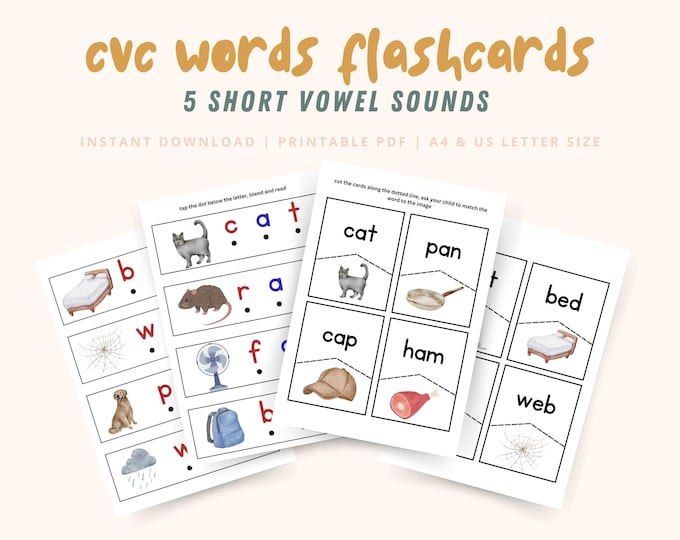 Phonics Worksheets CVC Sound It Out-(kindergarten/first Grade ...