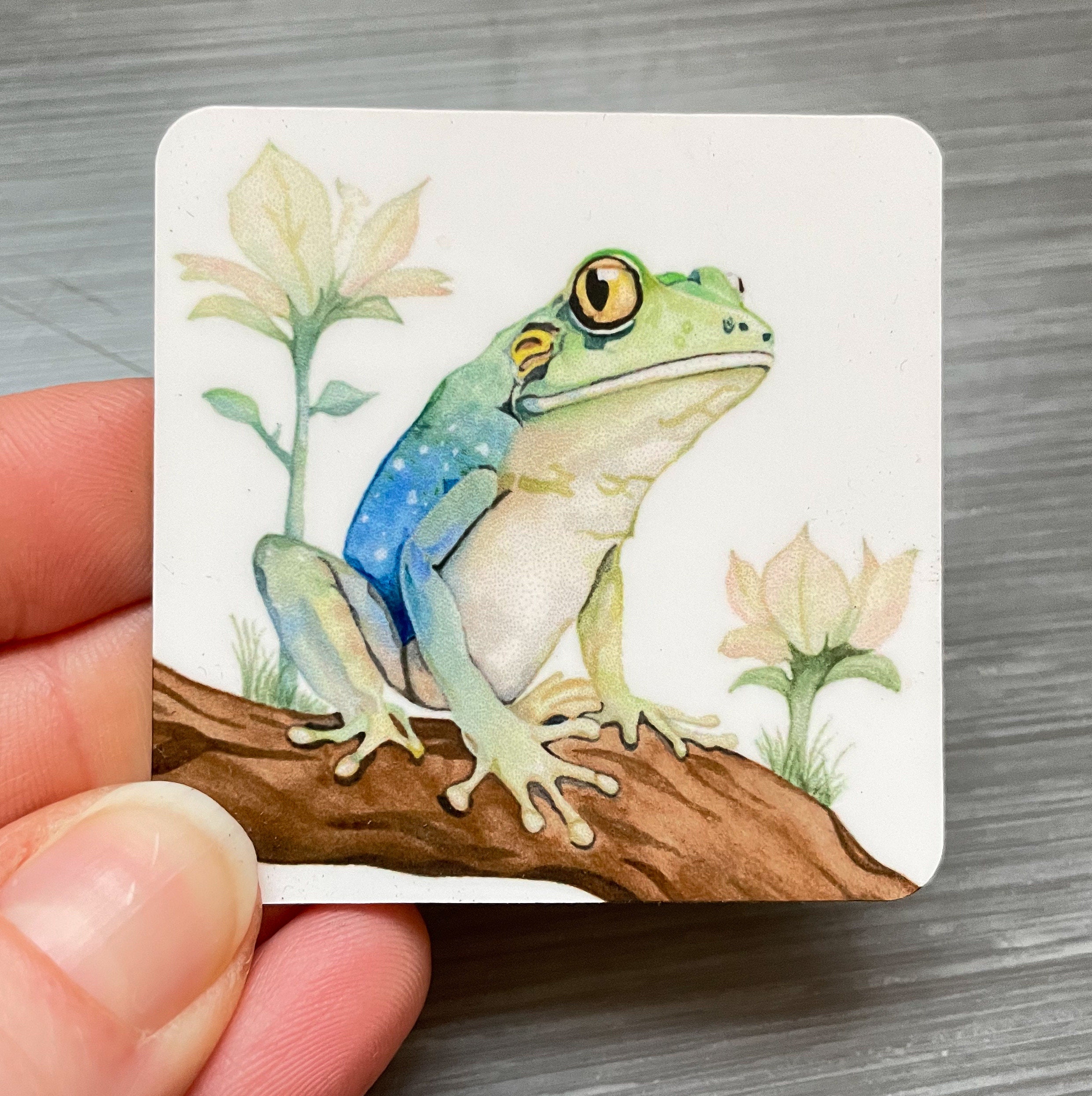 Frog Birthday Card, Frog Birthday Cards, Birthday Cards, Fun Birthday ...