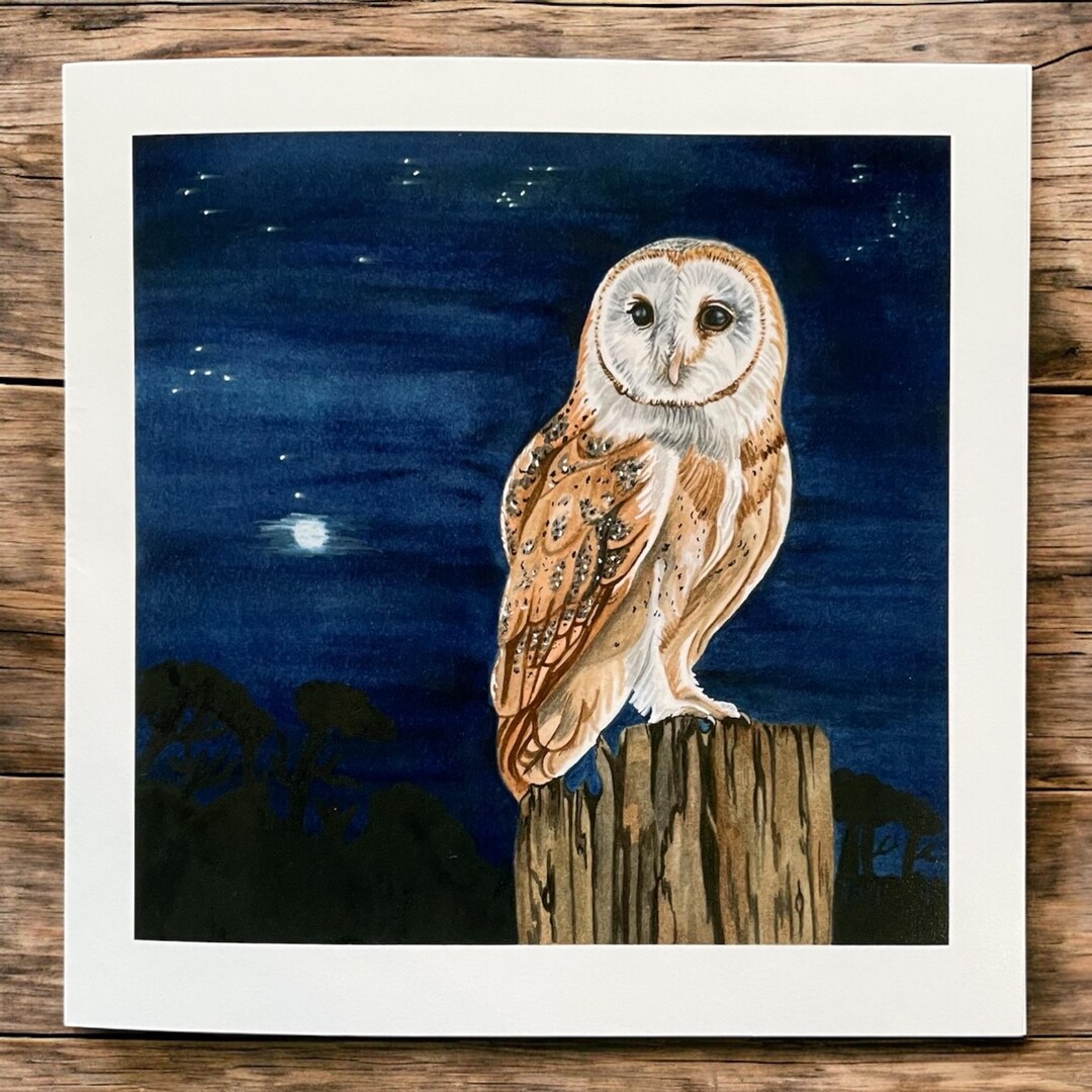 Barn Owl Cards, Owl Cards, Barn Owl Card, Bird Cards, Wildlife Lovers ...