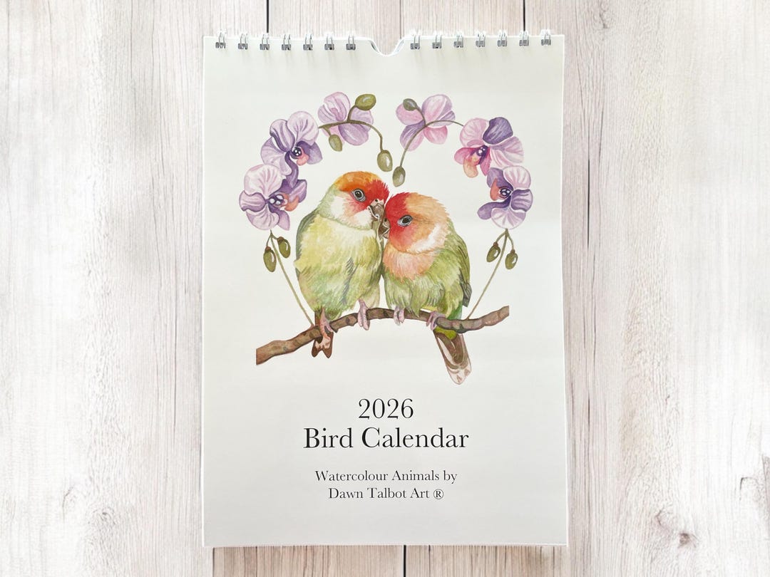 Bird Calendar, 2026 Bird Calendar, Owl Calendar, Seagull Calendar ...