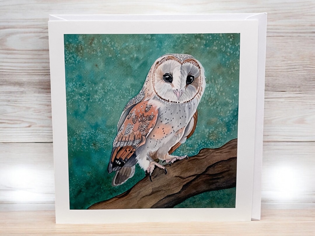 Barn Owl Cards, Owl Cards, Barn Owl Card, Bird Cards, Wildlife Lovers ...