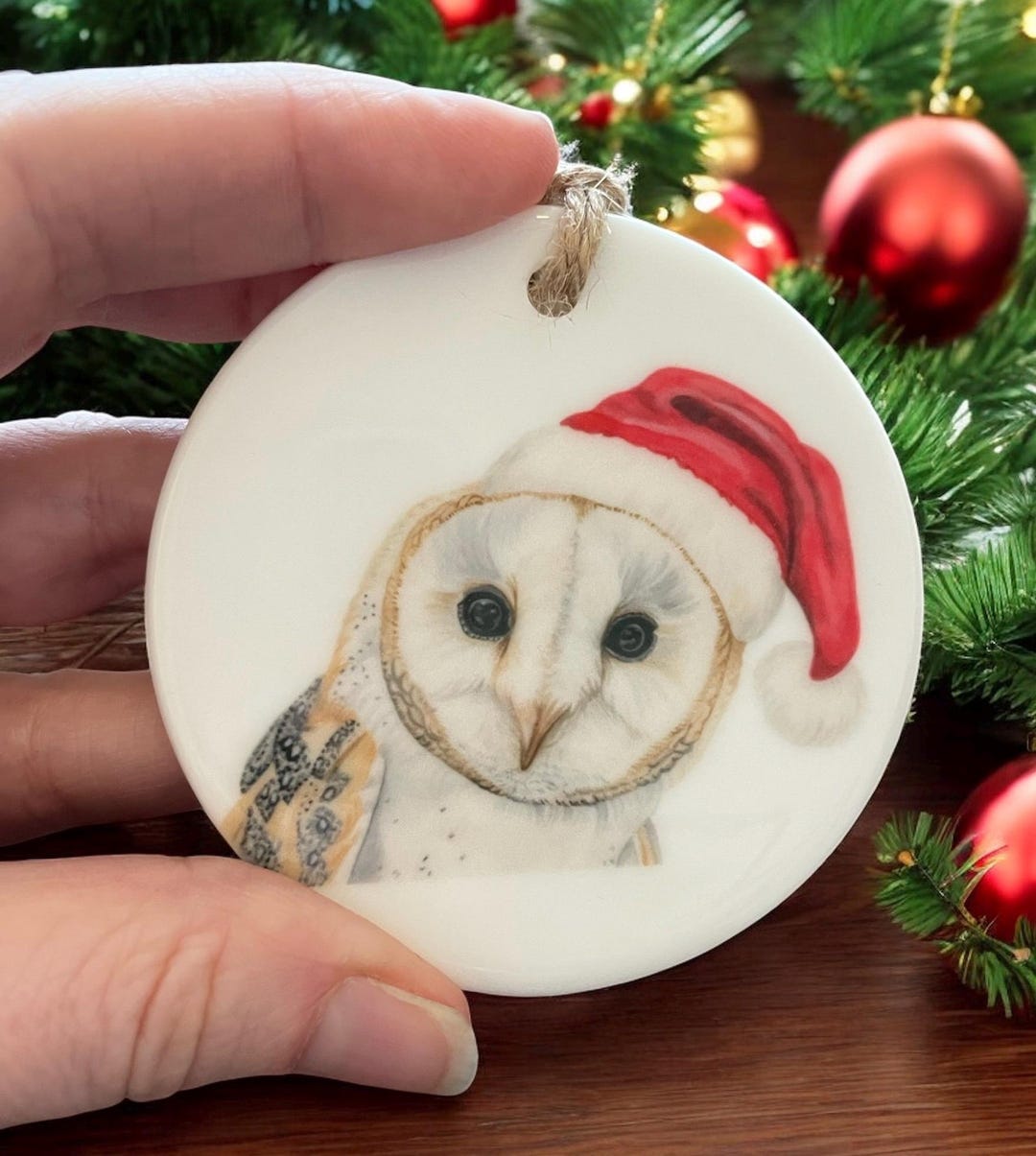 Ceramic Barn Owl Disc Decoration, Christmas Tree Decorations, Barn Owl ...