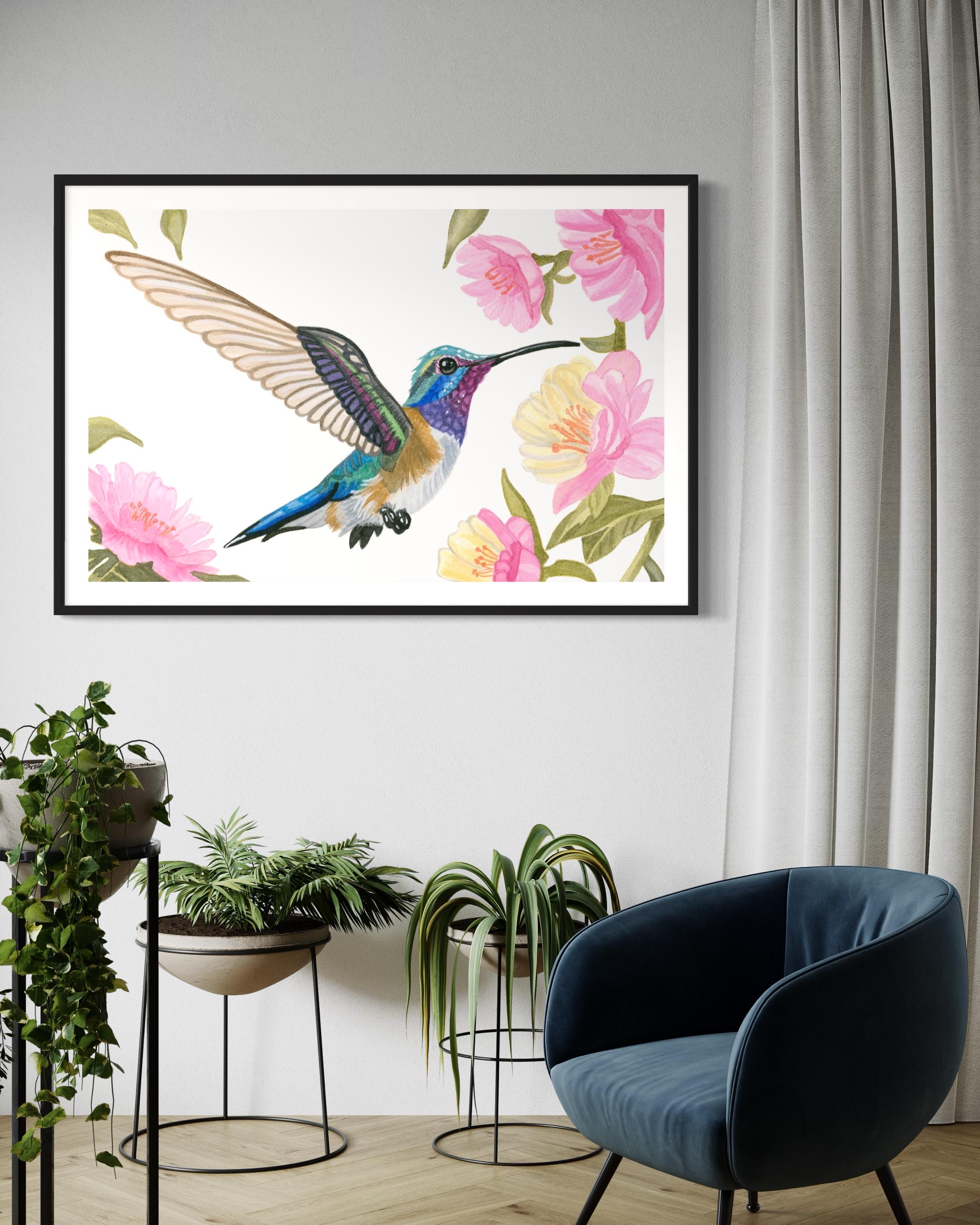 Hummingbird Pictures, Hummingbirds, Hummingbird Fine Art Prints ...