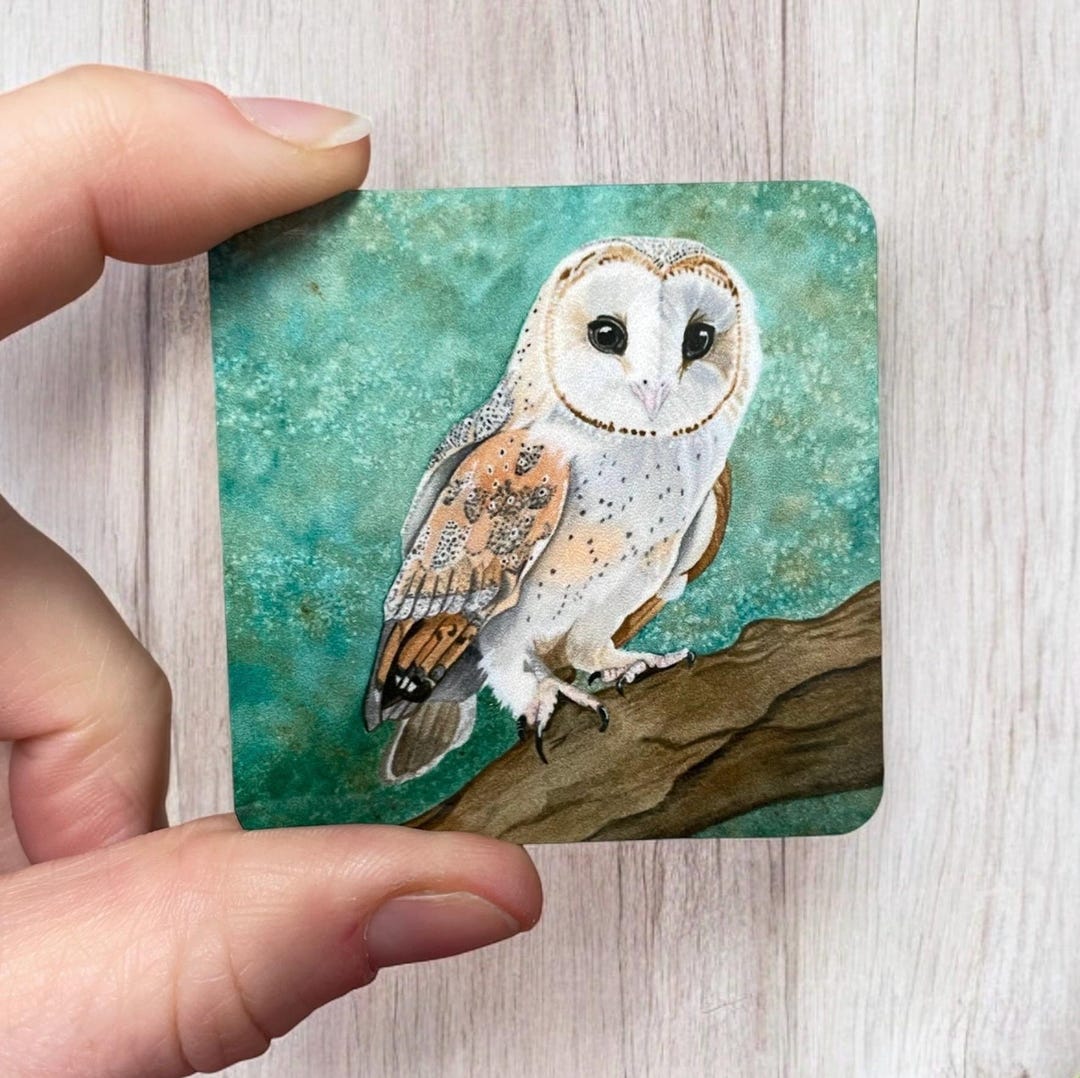 Barn Owl Gifts, Barn Owl Fridge Magnet, Barn Owls, Watercolor Barn Owl ...