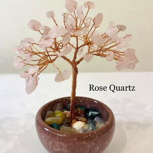 Natural Crystal Tree of Life - Choose Your Favorite Crystal for a One ...