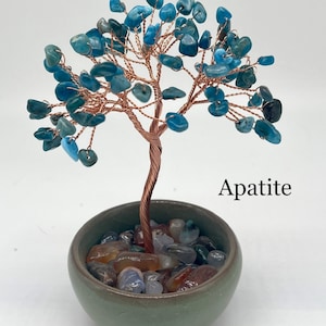 Natural Crystal Tree of Life - Choose Your Favorite Crystal for a One ...