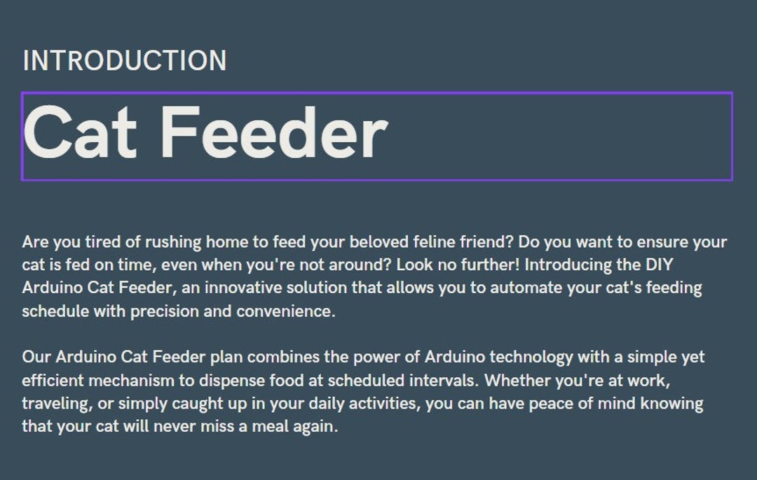 Arduino Cat Feeder - Etsy