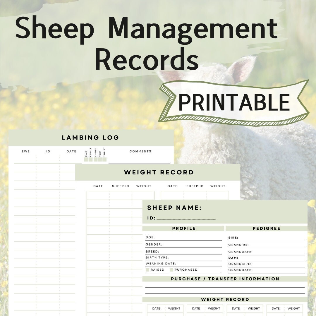 Sheep Farm Management Pack: ID Record, Lambing Log, Weight Tracker ...
