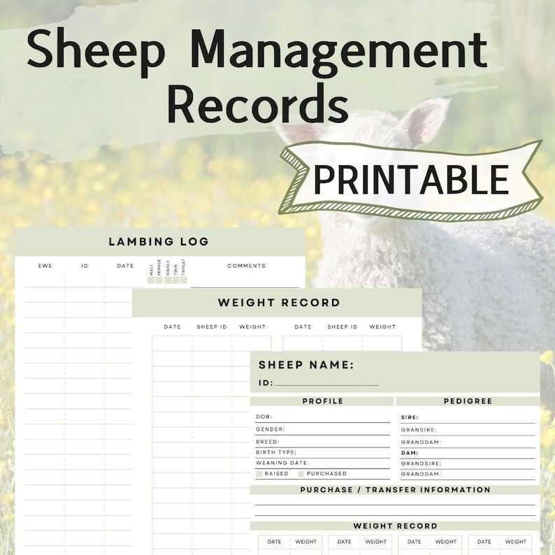 Sheep Farm Management Pack: ID Record, Lambing Log, Weight Tracker ...