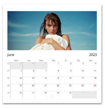 2023 Taylor Swift Wall Calendar Taylor Swift Calendar 2023 - Etsy