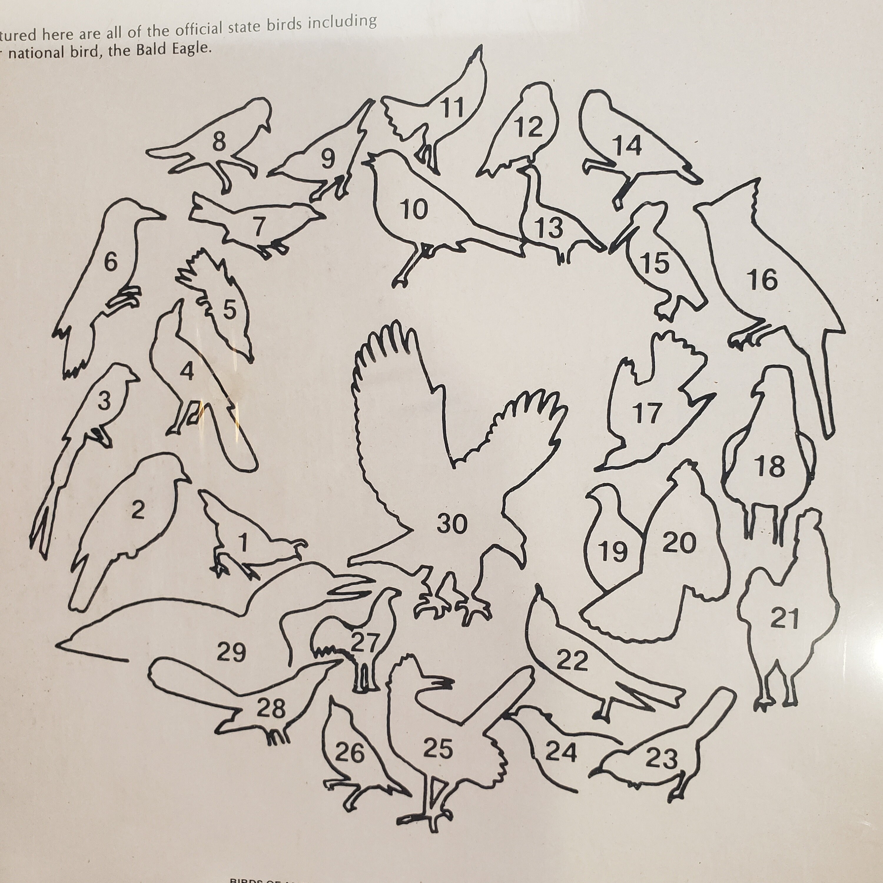 1977 Factory Sealed National Wildlife Federation Birds of - Etsy