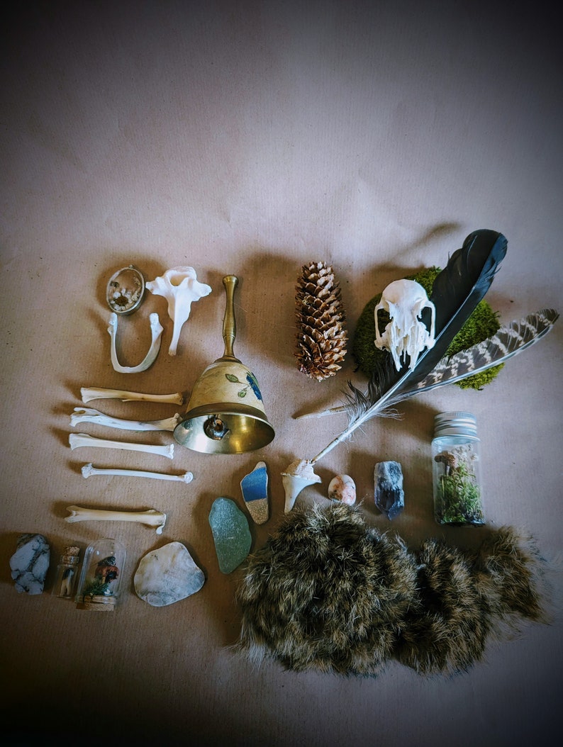 Oddity Mystery Box / Vulture Culture / Curiosities and Oddities - Etsy