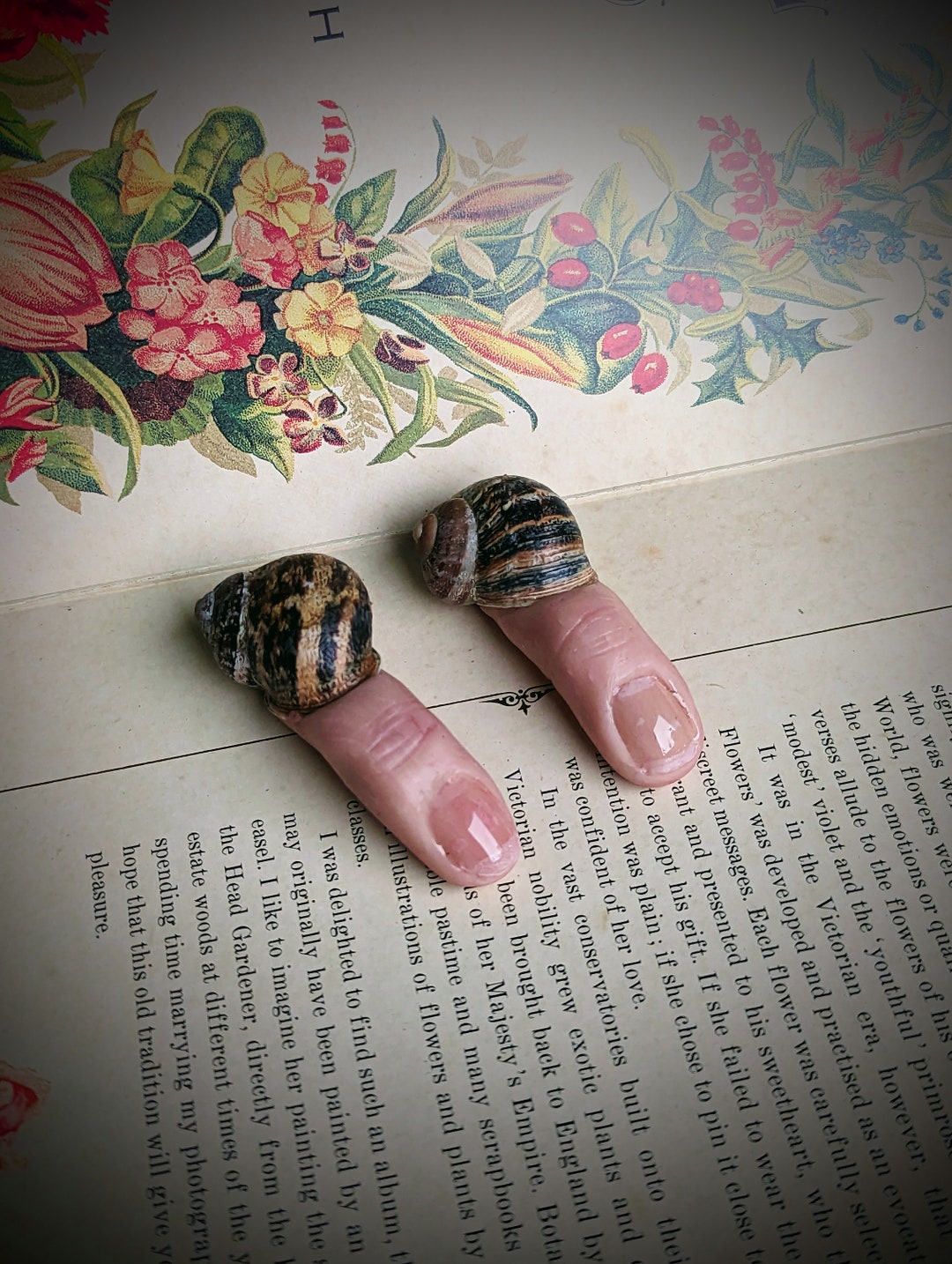 Snail Shell Finger Nail Oddity and Curiosity Polymer Clay Sculpture ...