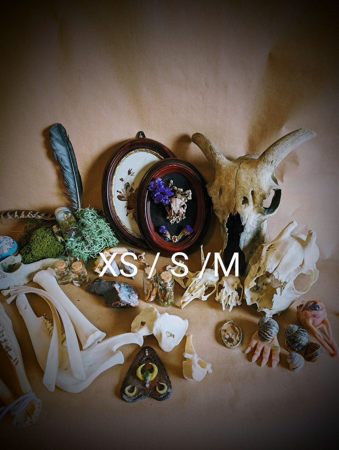 Oddity Mystery Box / Vulture Culture / Curiosities and Oddities - Etsy