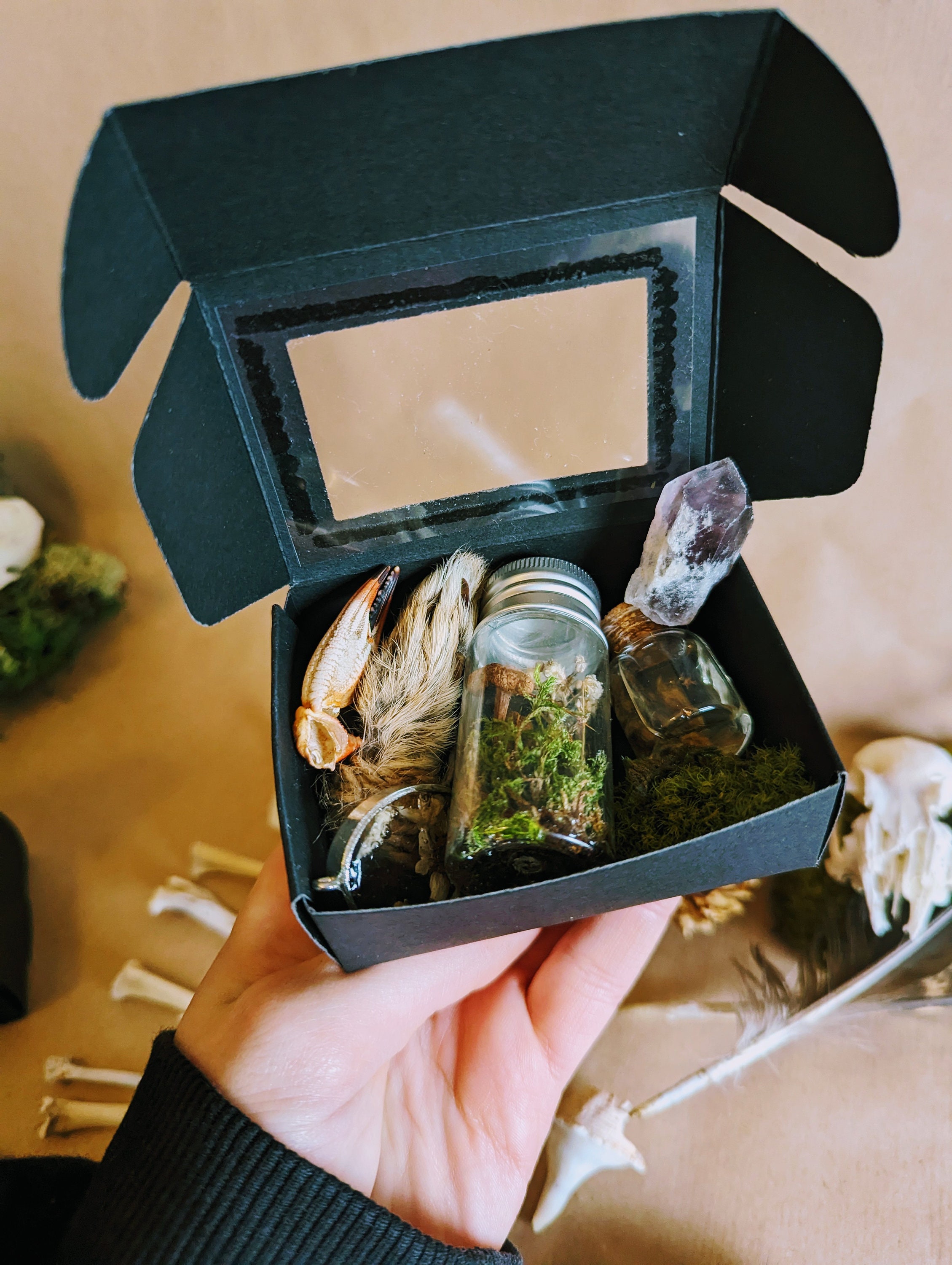 Oddity Mystery Box / Vulture Culture / Curiosities and Oddities - Etsy