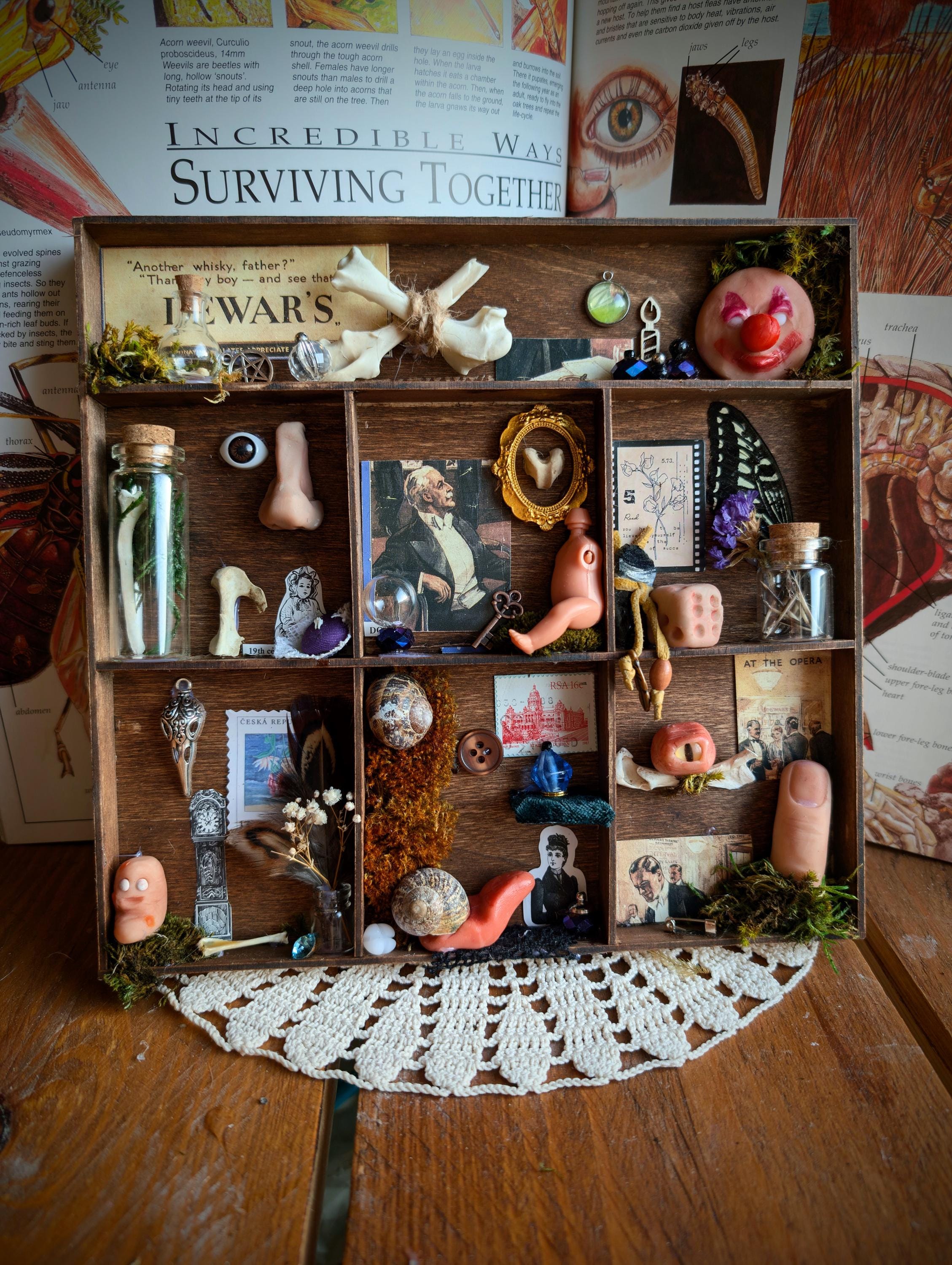 Curiosity and Oddity Cabinet Frame Witchy Apothecary - Etsy