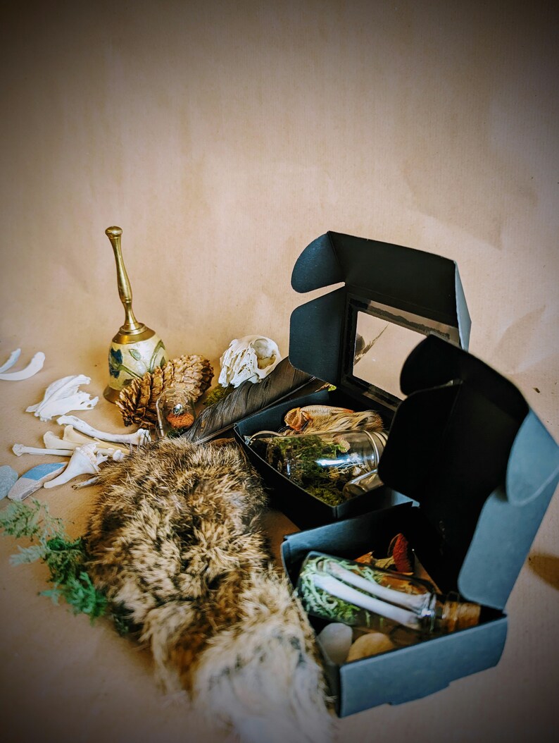 Oddity Mystery Box / Vulture Culture / Curiosities and Oddities - Etsy