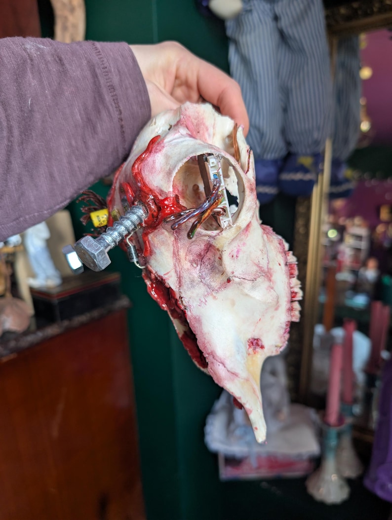 Custom Sheep Skull Horror Art, Recycled Mixed Media Cyborg Decor - Etsy UK