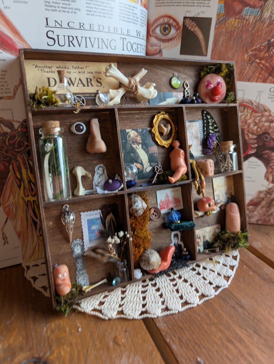 Curiosity and Oddity Cabinet Frame Witchy Apothecary - Etsy