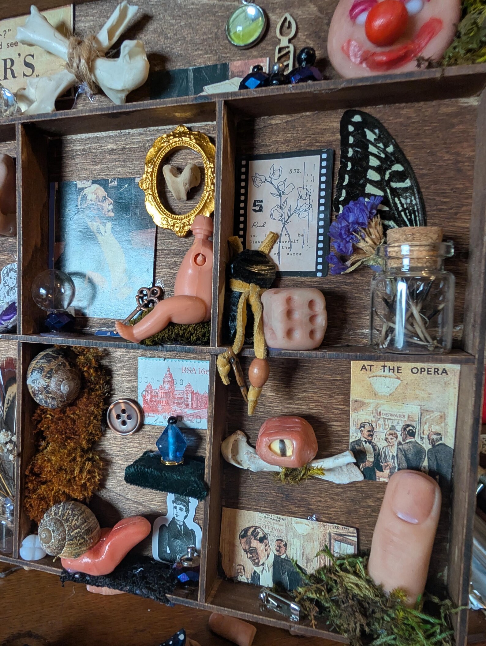 Curiosity and Oddity Cabinet Frame Witchy Apothecary - Etsy