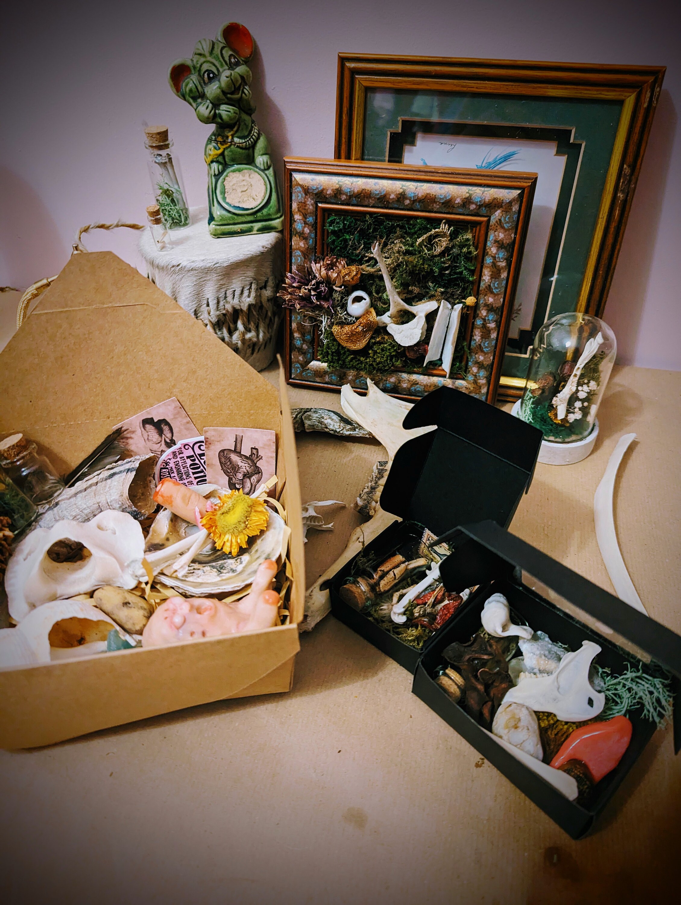 Oddity Mystery Box / Vulture Culture / Curiosities and Oddities - Etsy