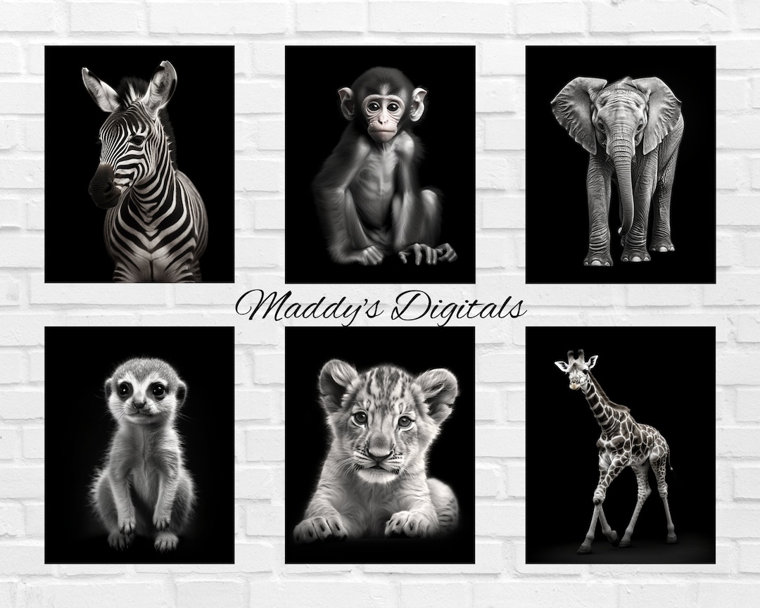 Classic Set of Six Black and White Safari Animal Prints in HD ...