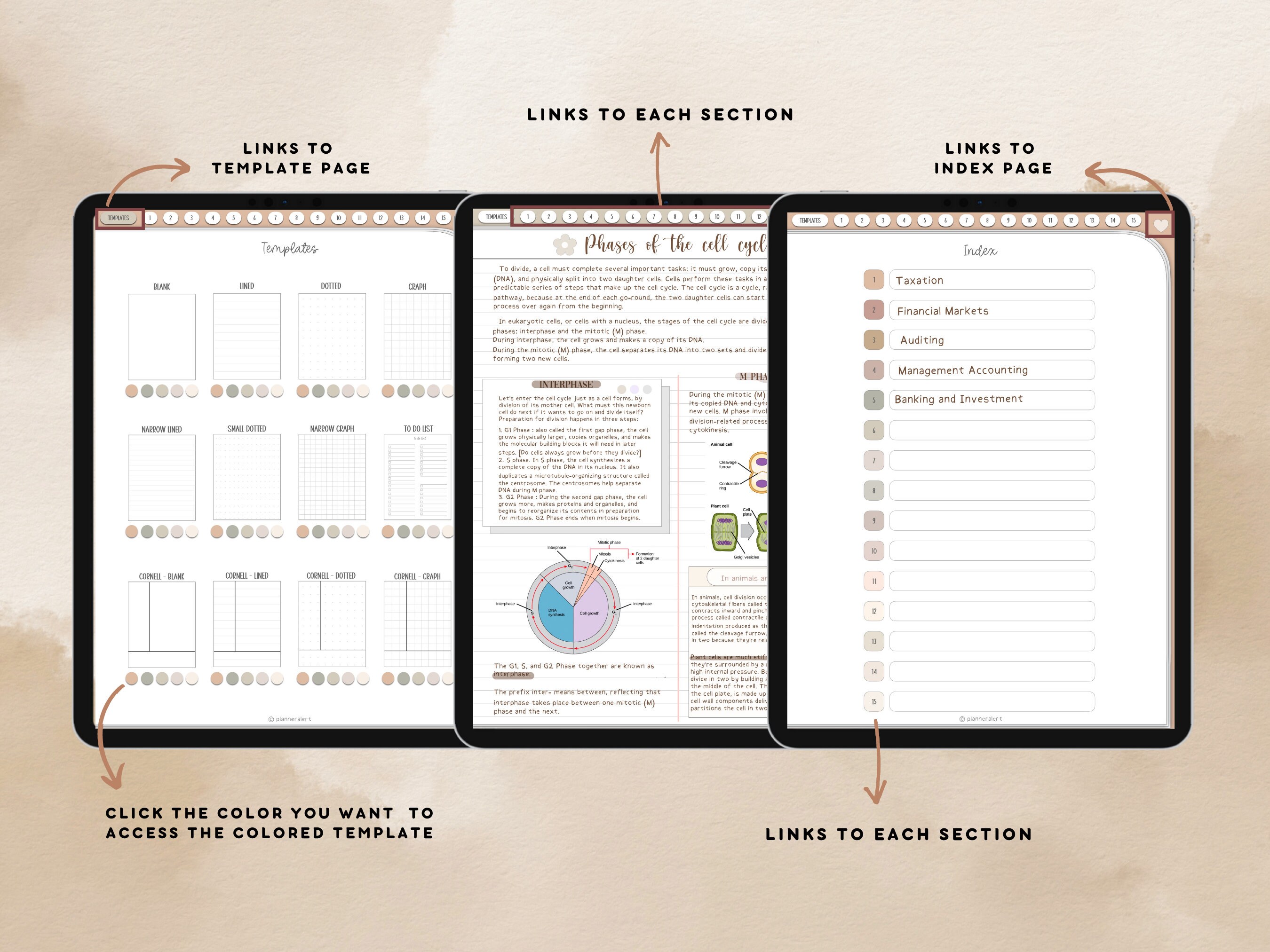 Earthy Digital Notebook, Neutral Digital Notebook, Aesthetic Goodnotes ...