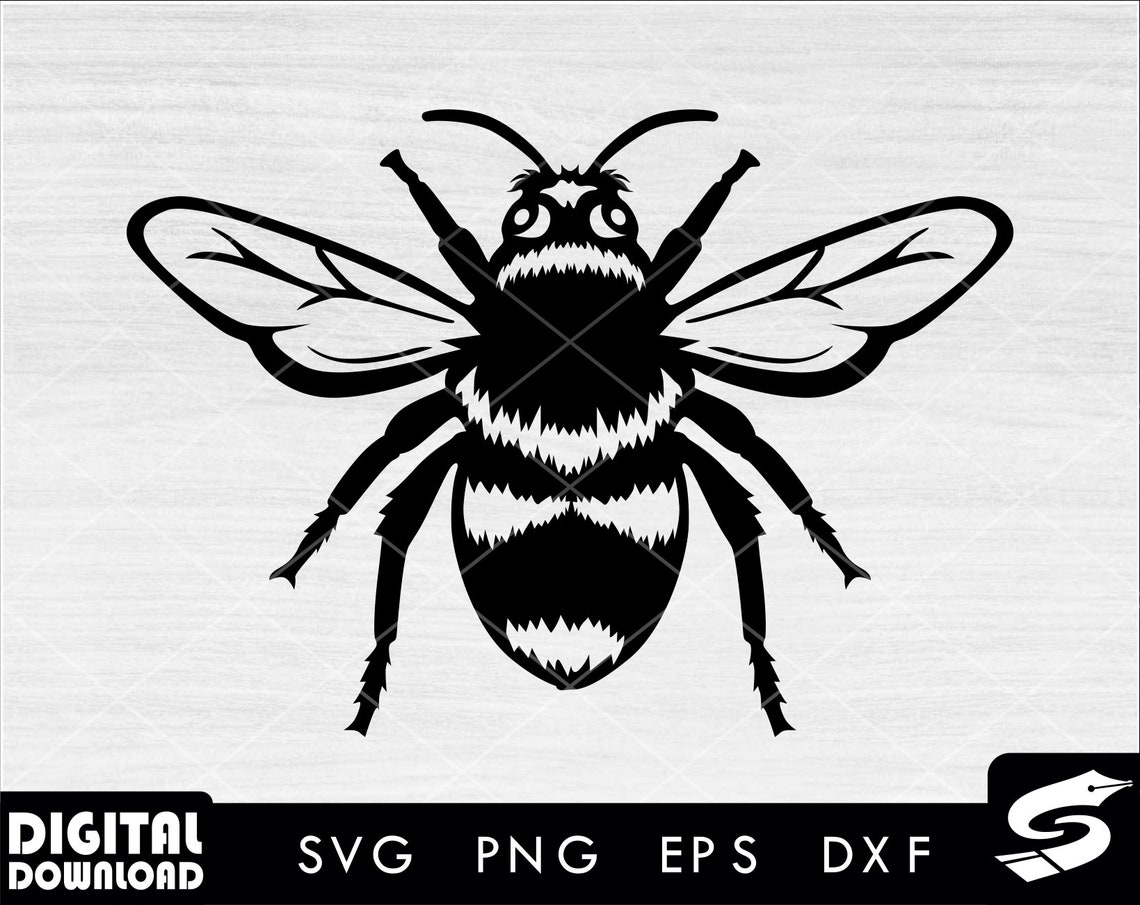 Bee SVG, Queen Svg, Honey Bee Svg, Bee Png, Bee Clipart. for Bee Lovers ...