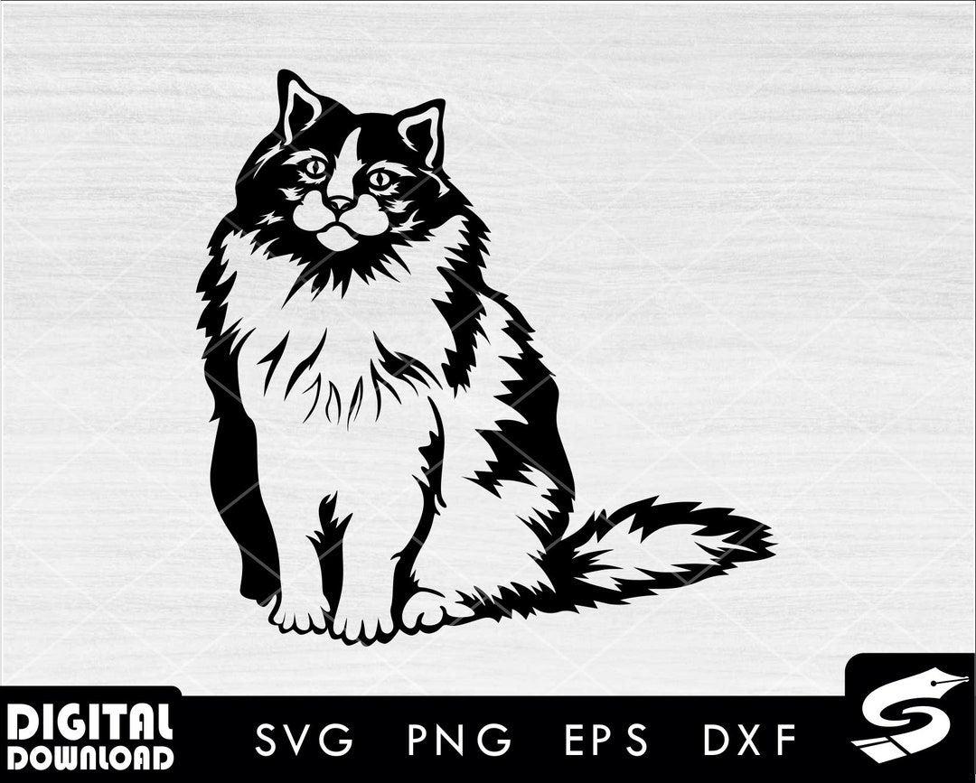 Cat SVG, Cute Cat Svg, Cat Clipart, Funny Cat Svg, Cat Lover Svg - Etsy