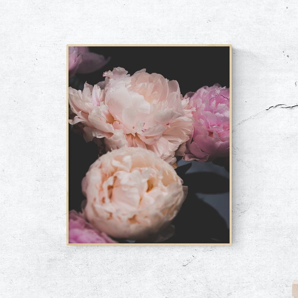 Peony Photography - Etsy
