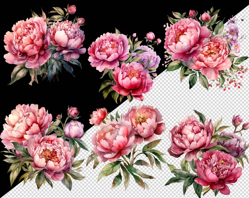 Watercolor Pink Peonies Clipart, JPG, PNG Instant Download - Etsy