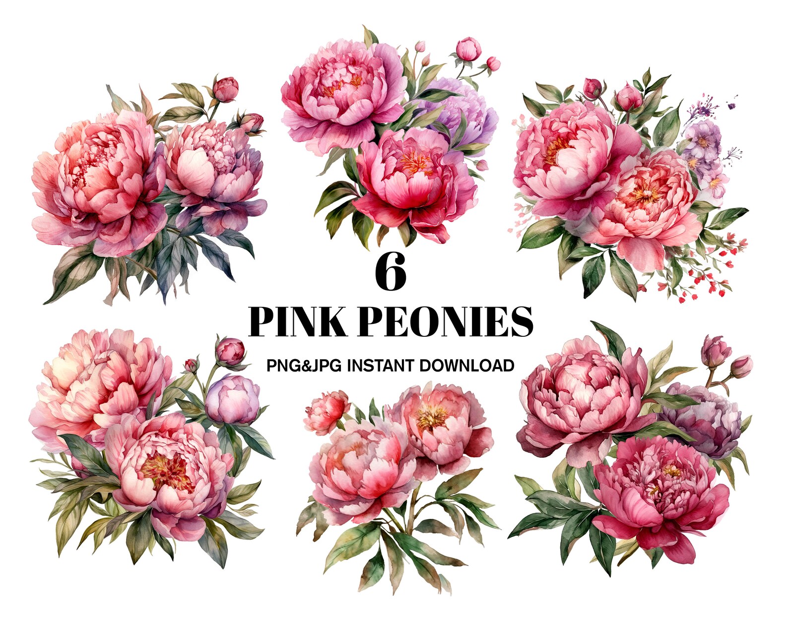 Watercolor Pink Peonies Clipart, JPG, PNG Instant Download - Etsy
