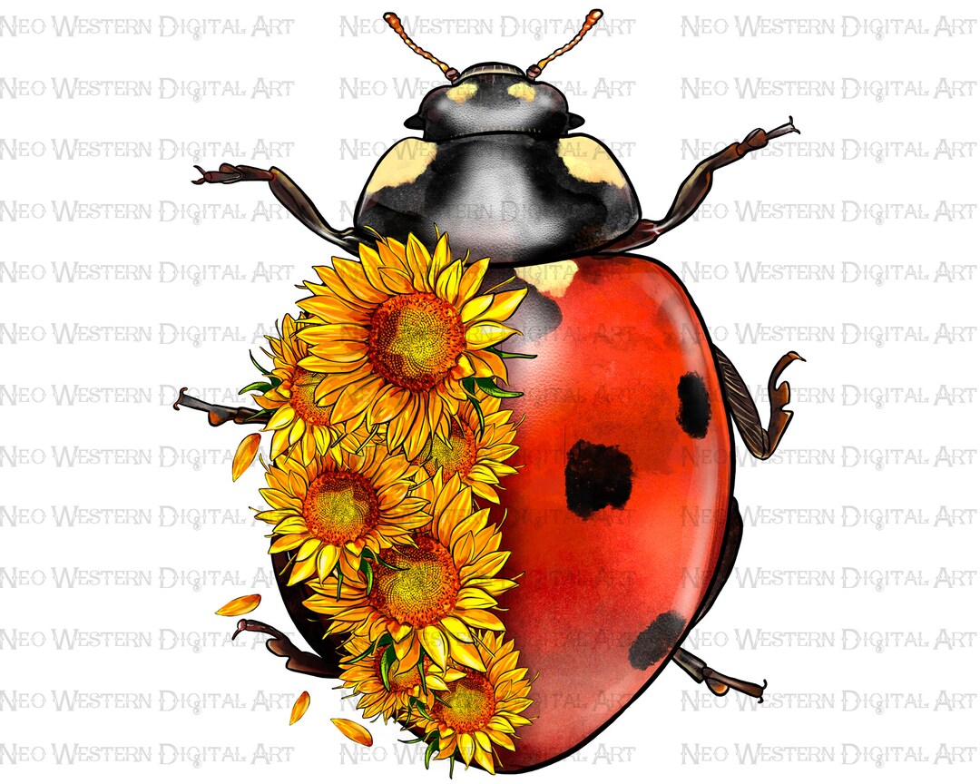Ladybug Sunflower Png Sublimation Design Download, Western Ladybug Png ...