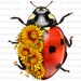 Ladybug Sunflower Png Sublimation Design Download, Western Ladybug Png ...