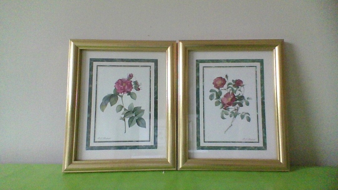 Pierre -joseph Redoute Prints - Etsy
