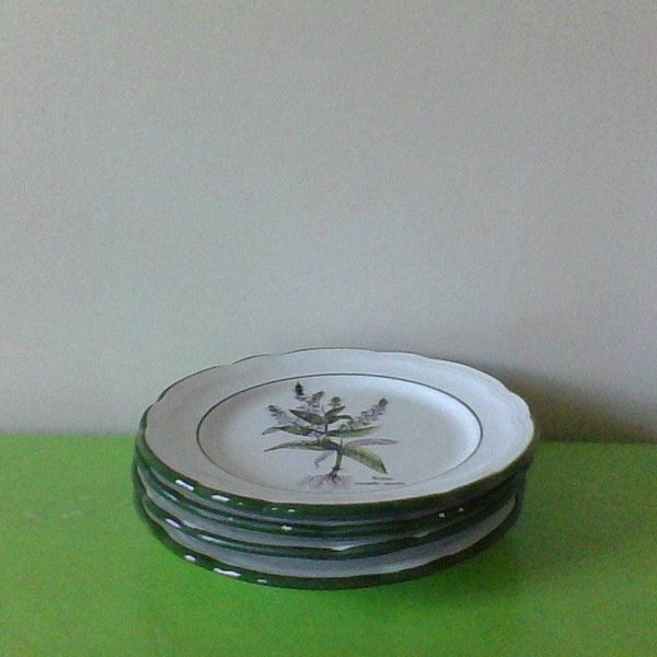 Botanical Plates - Etsy
