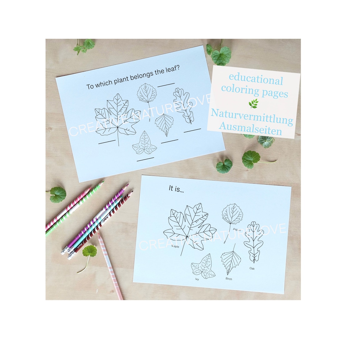4 Coloring Pages Plants * Homeschooling * Digital Download PDF ...