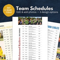 Editable Basketball Schedule Template DIY Canva Basketball Schedule ...