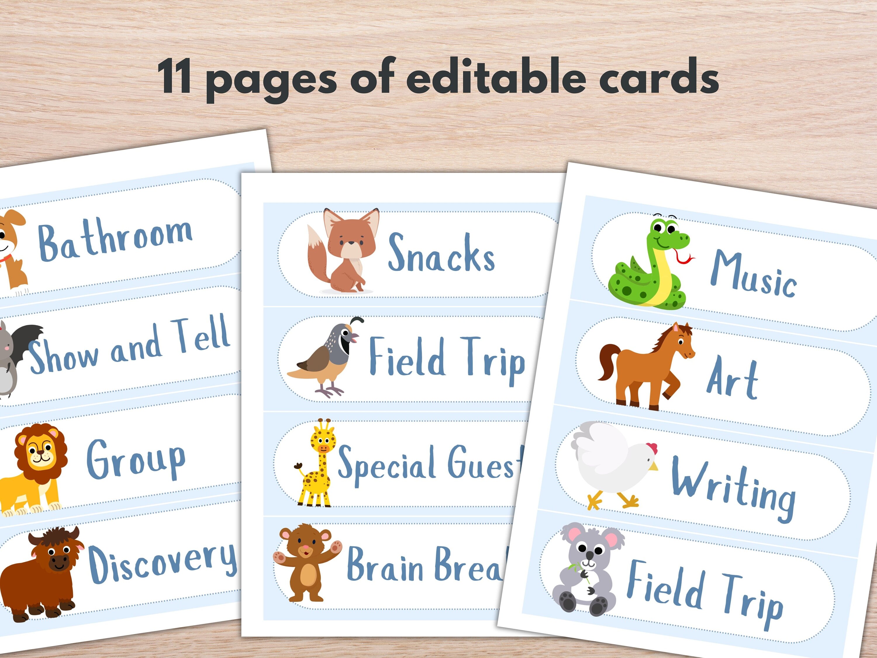 EDITABLE Preschool Schedule Cards, 11 Pages, Daycare Routine, Pre-k ...