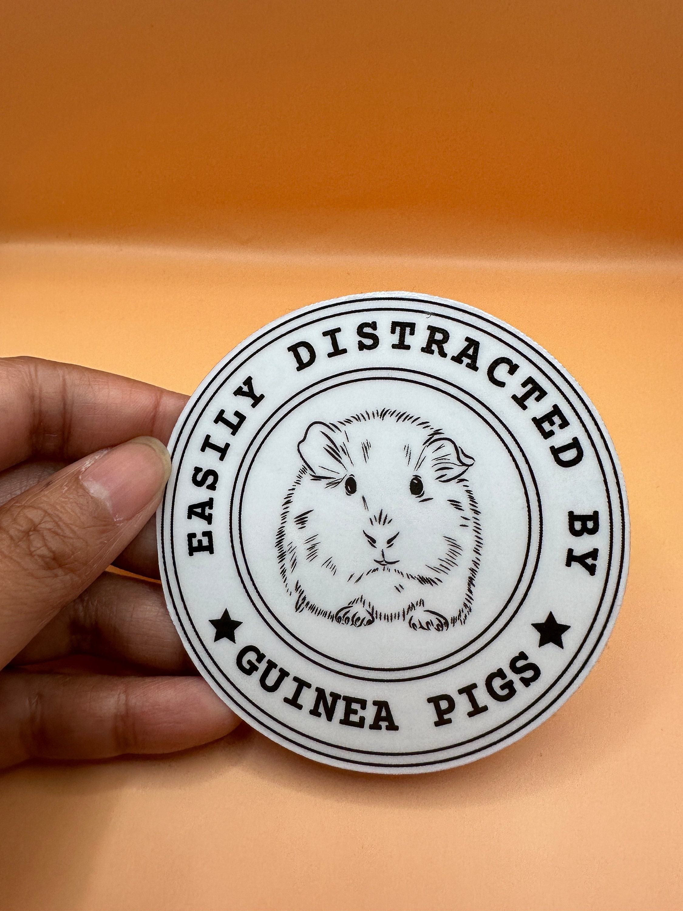 Easily Distracted by Guinea Pigs, Transparent Sticker, Clear Stickers ...