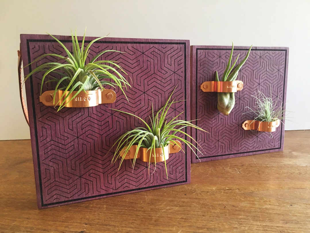 Brazilian Purpleheart Wood Laser Engraved Air Plant Hanging Plaque ...