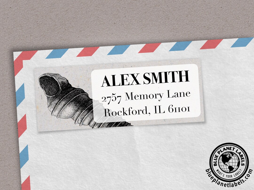 Auger Sea Shell Return Address Label Set of 30, Black and White ...