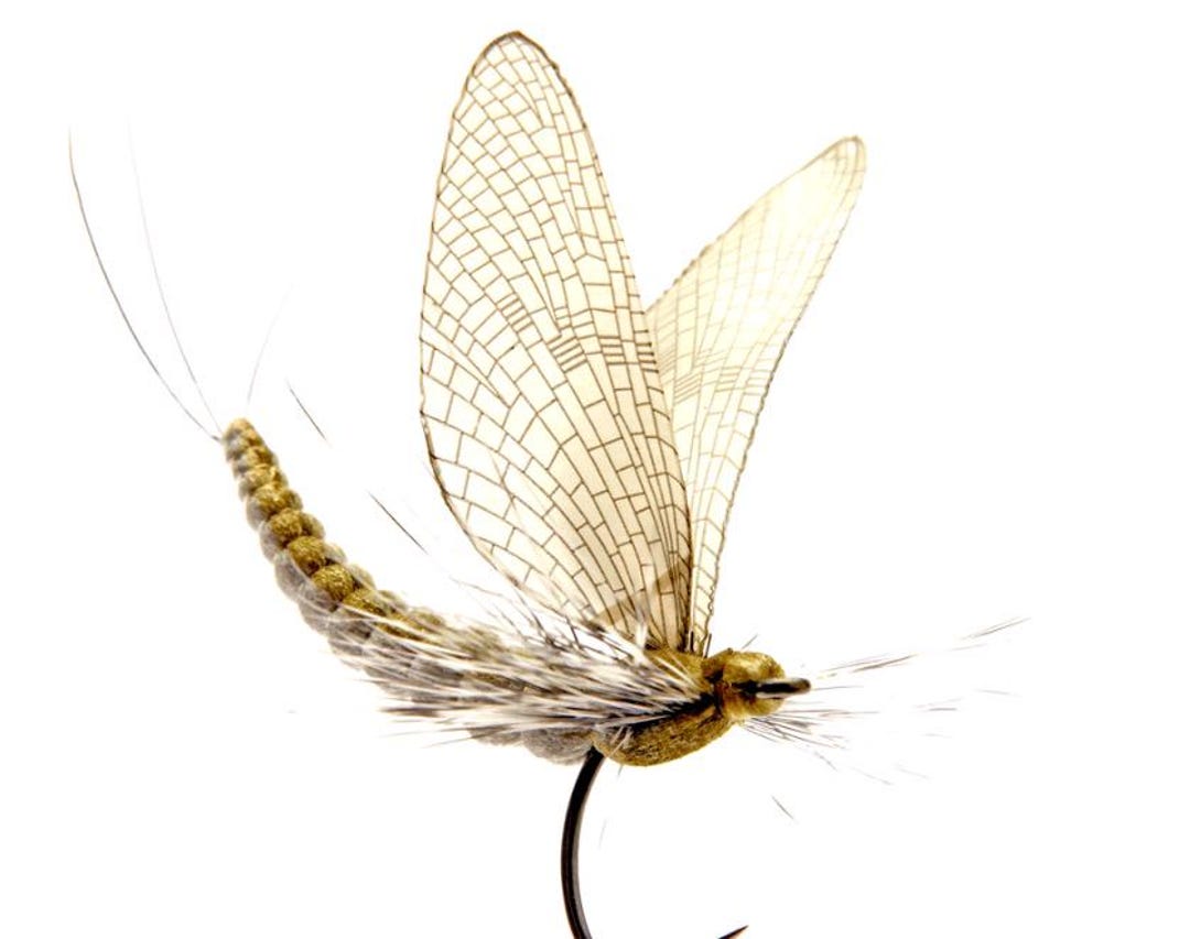 3 Pieces - Realistic Mayfly (green & Grey) - MAY FLY - Size #12 Fly ...