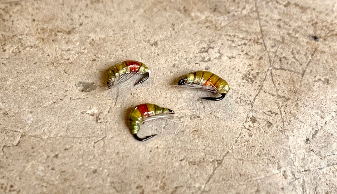 Infected Scud realistic 3pcs CRAYFISH Fly Fishing Nymphs Size 18 ...