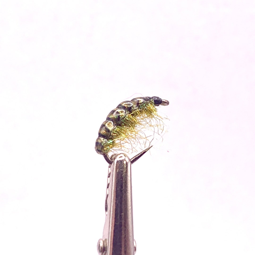 3 Pieces - Scud (realistic) - CRAB - Fly Fishing - Nymphs (olive ...