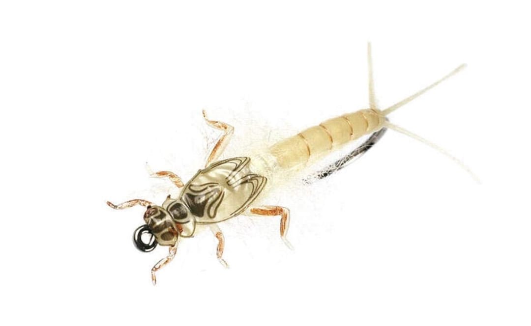 3 Realistic Mayfly Larvae (28 Mm) - Nymphs - Fly Fishing - Etsy Australia