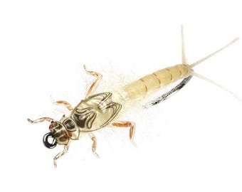 3 Realistic Mayfly Larvae (28 Mm) - Nymphs - Fly Fishing - Etsy
