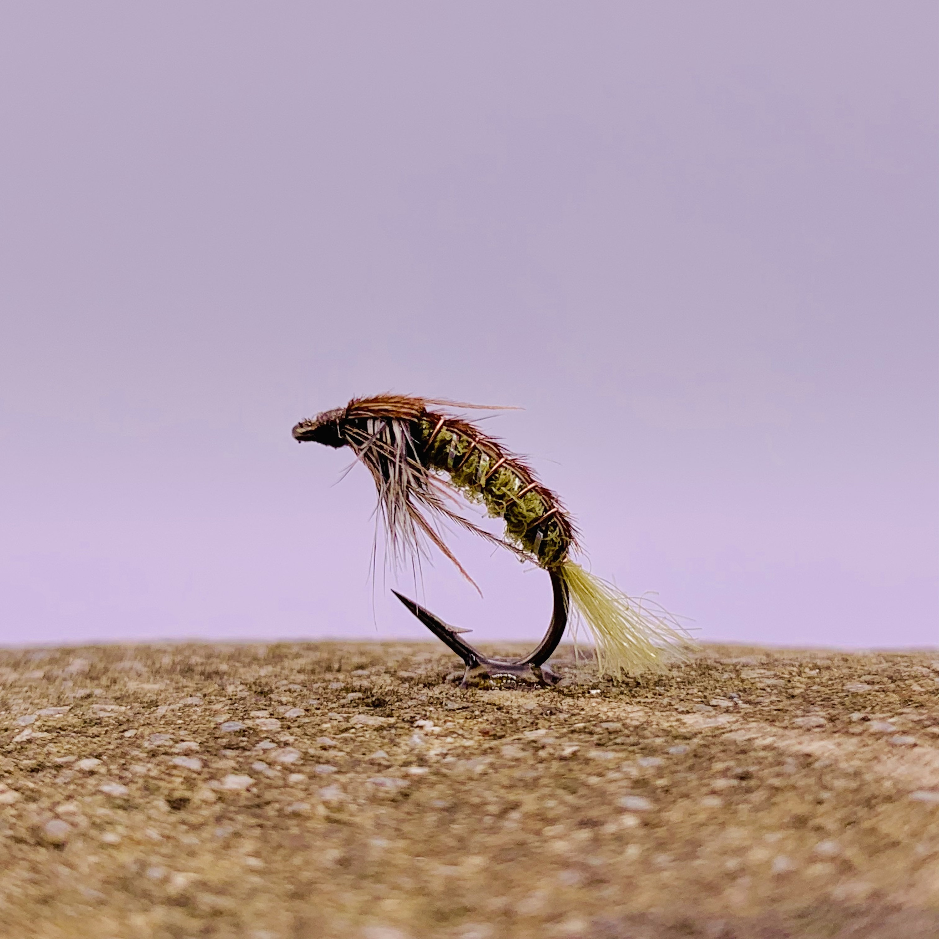 Caddis Pupa Olive Wet Fly Fly Fishing Nymphs Size 148 - Etsy